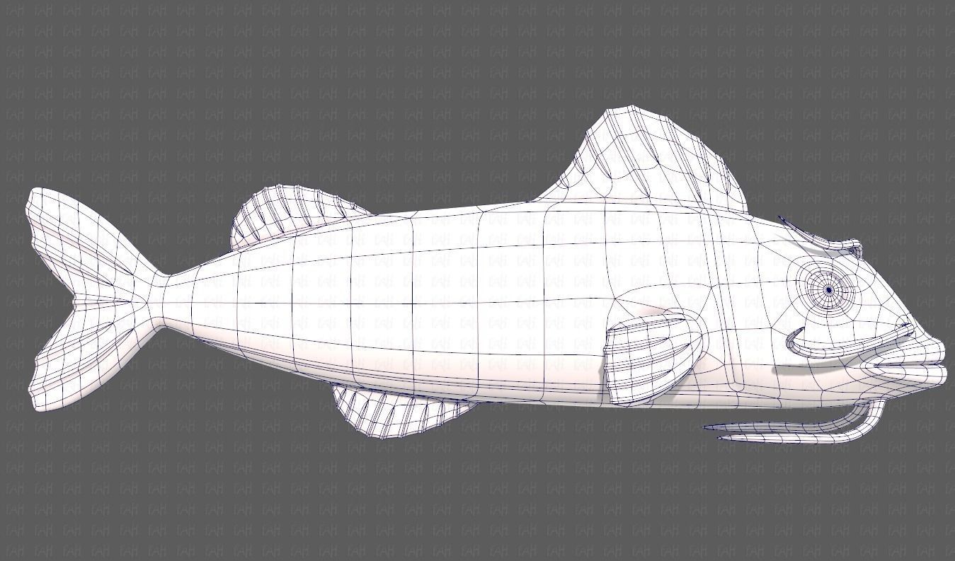 3D model Fish V10 VR / AR / low-poly | CGTrader