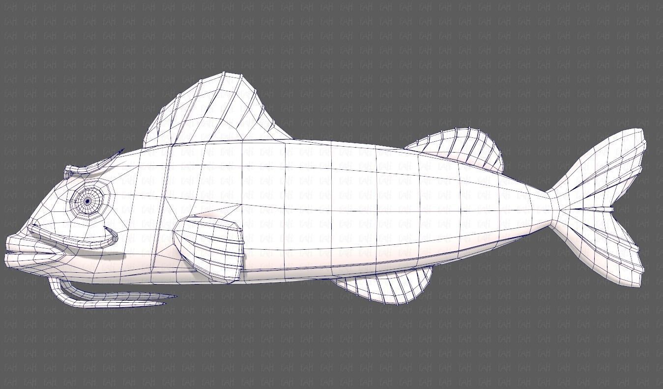 3D model Fish V10 VR / AR / low-poly | CGTrader