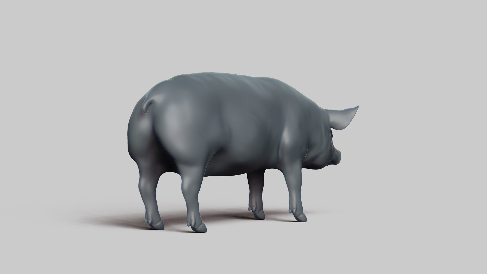 Pig Pose 03 3D model 3D printable | CGTrader