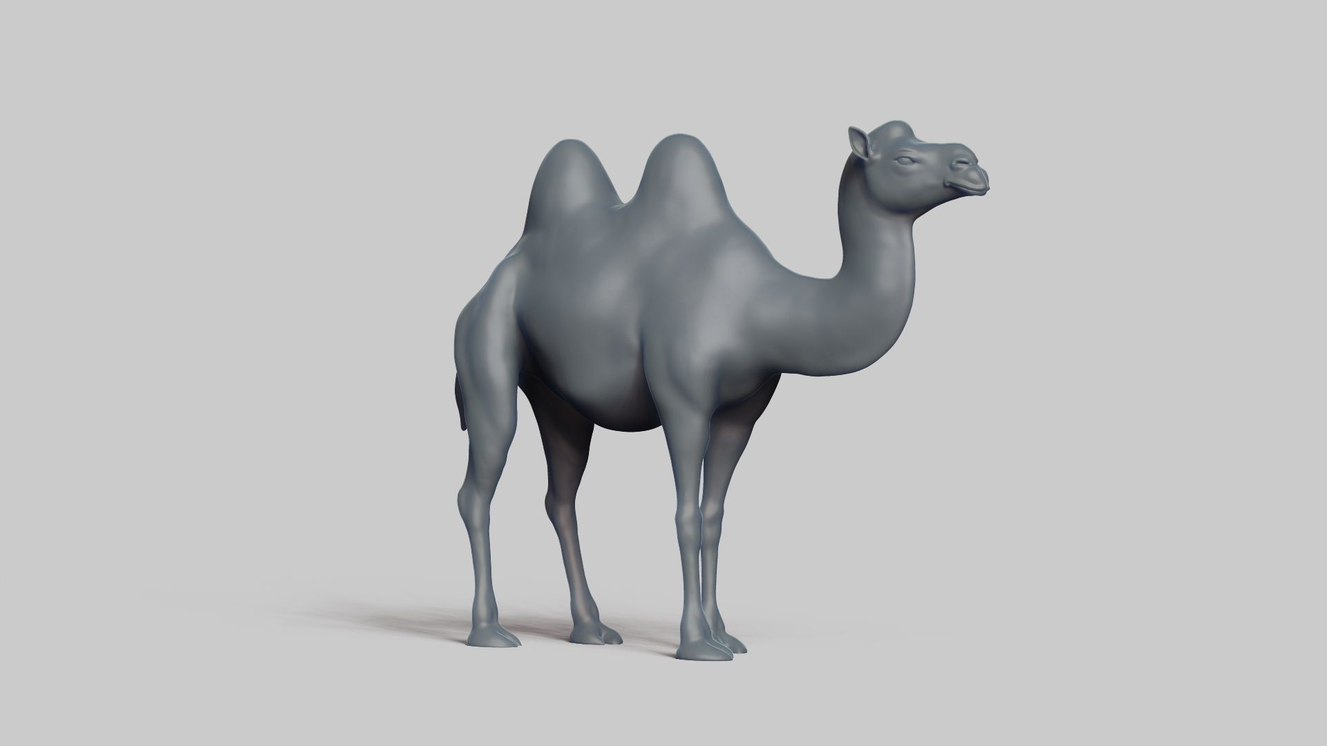 Bactrian Camel Pose 01 3D model 3D printable | CGTrader