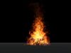 3D Bonefire fire 3D model animated | CGTrader