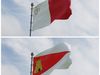Animated Malta Flags 3D model animated | CGTrader