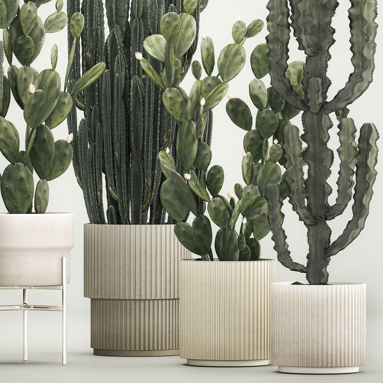 cactus plants for outdoors and interiors in concrete pots 1209 3D model ...