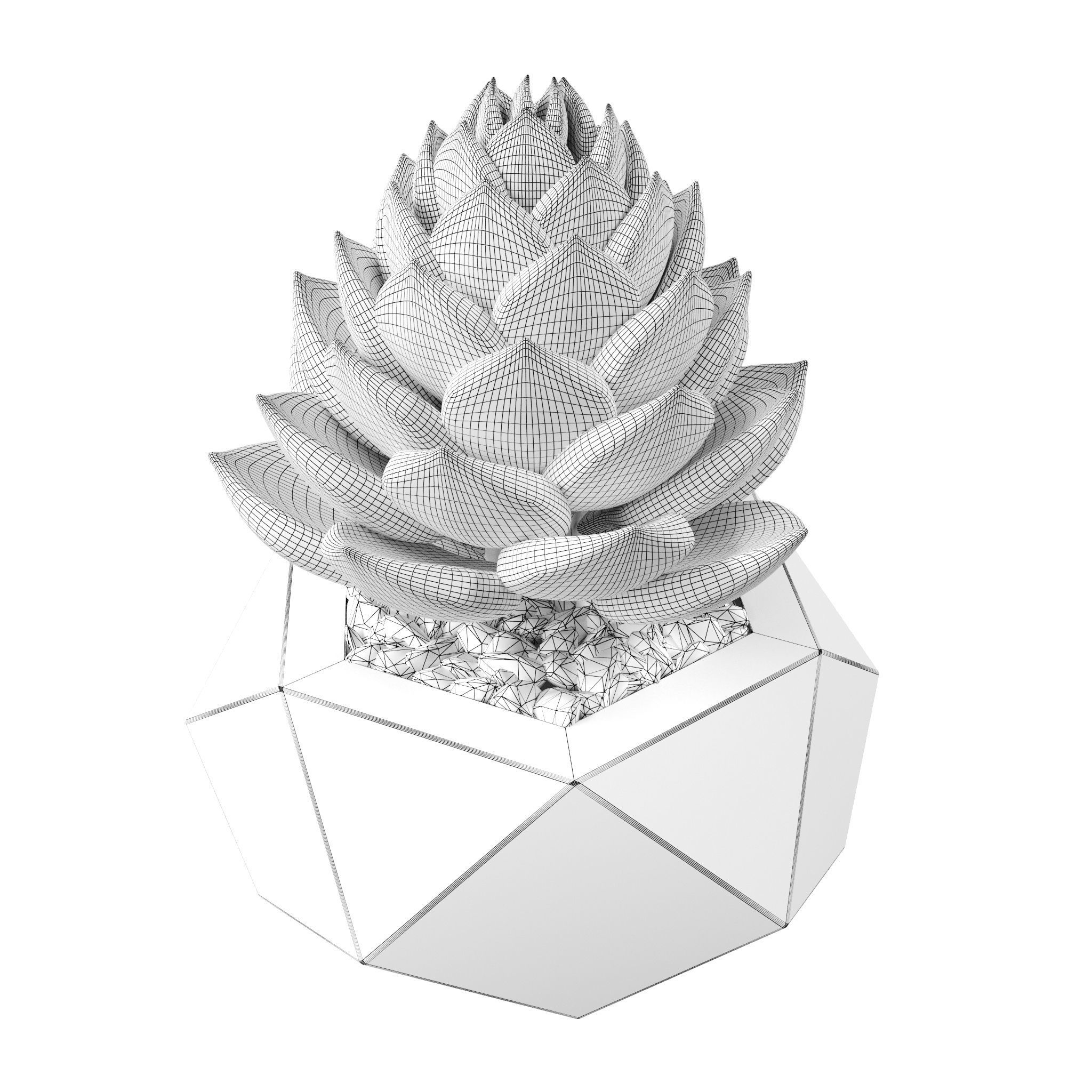 Succulent plant 1 3D model | CGTrader