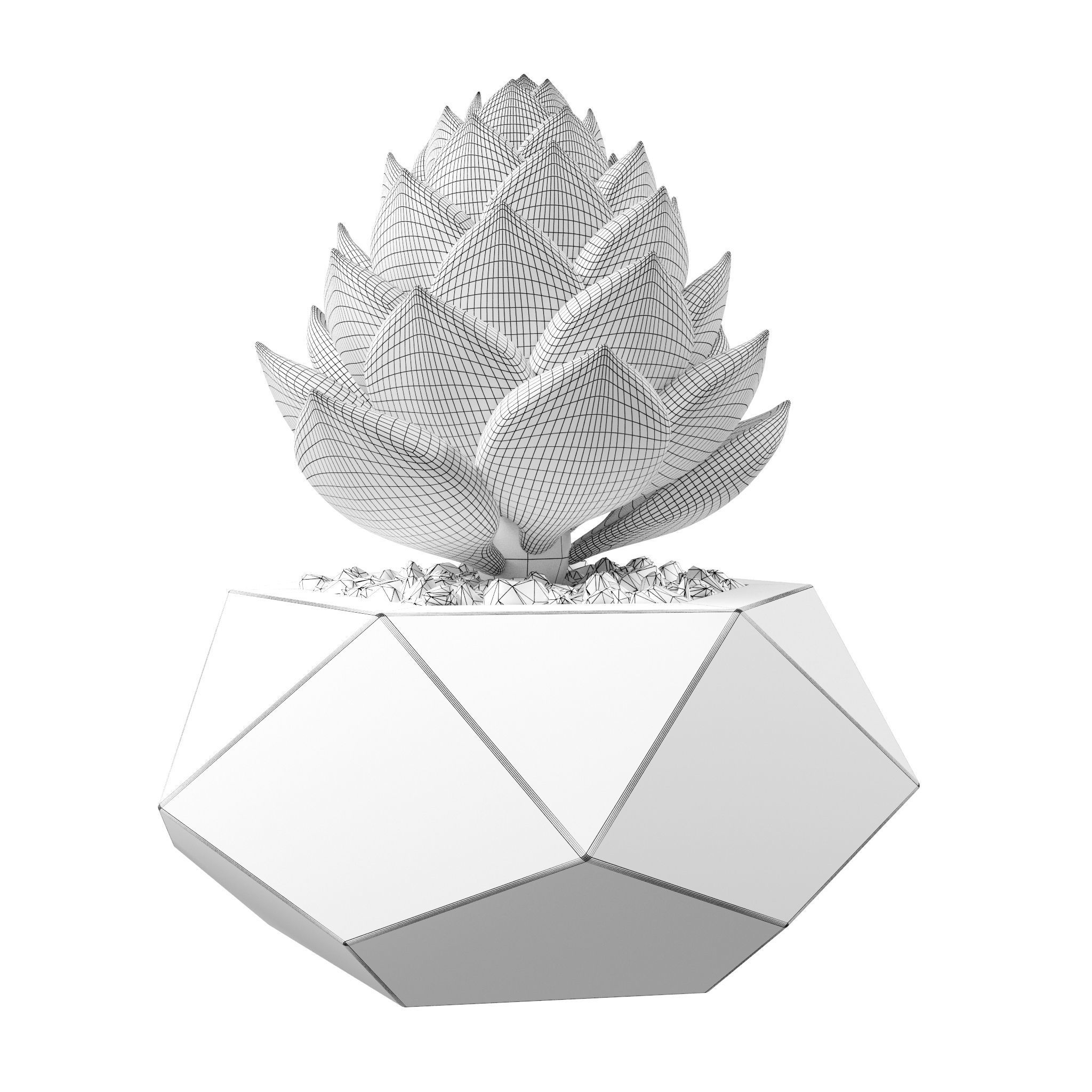 Succulent plant 1 3D model | CGTrader