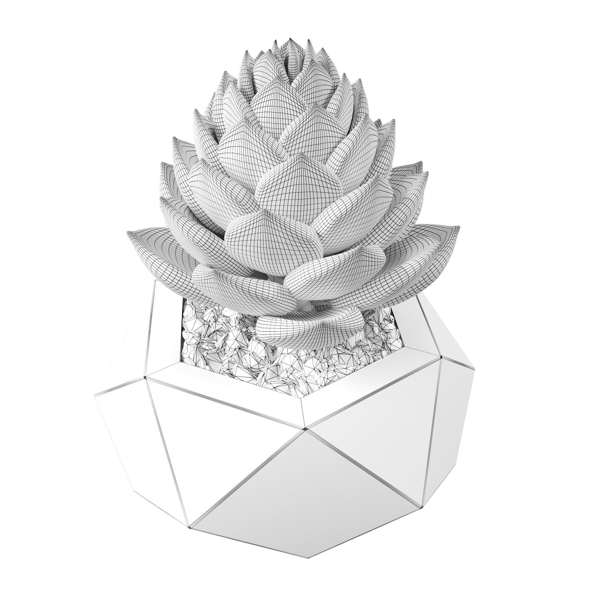 Succulent plant 1 3D model | CGTrader