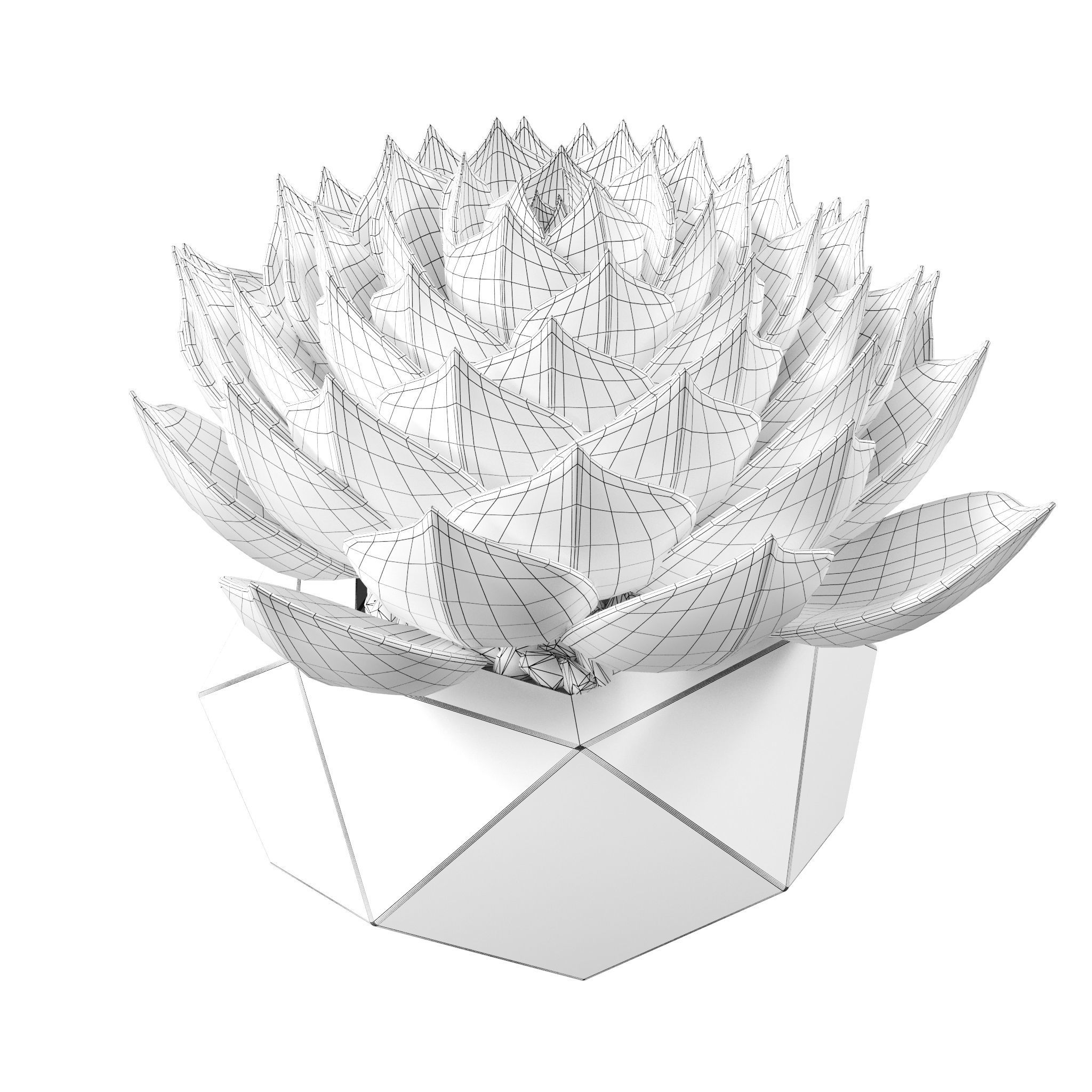 Succulent plant 2 3D model | CGTrader