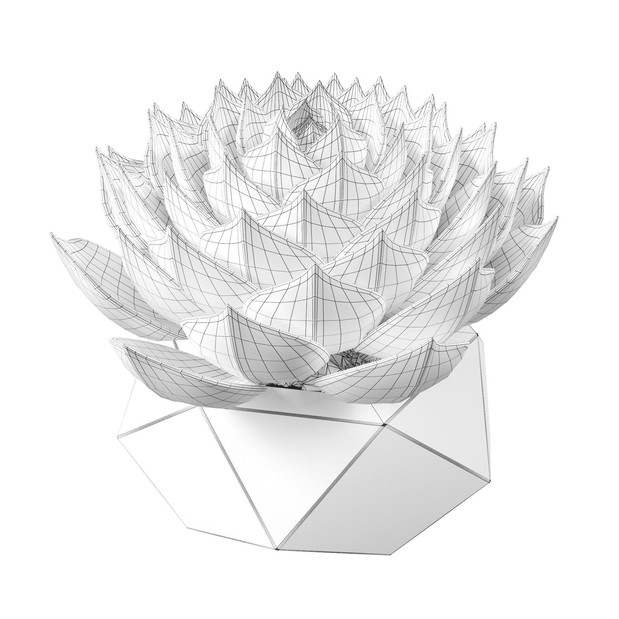 Succulent plant 2 3D model | CGTrader