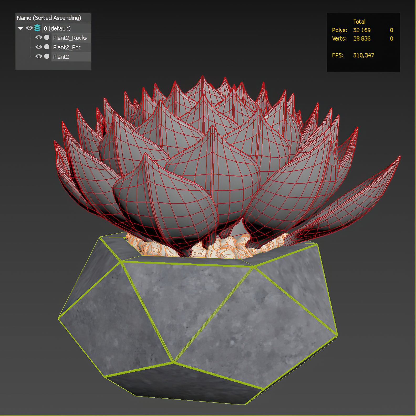 Succulent plant 2 3D model | CGTrader