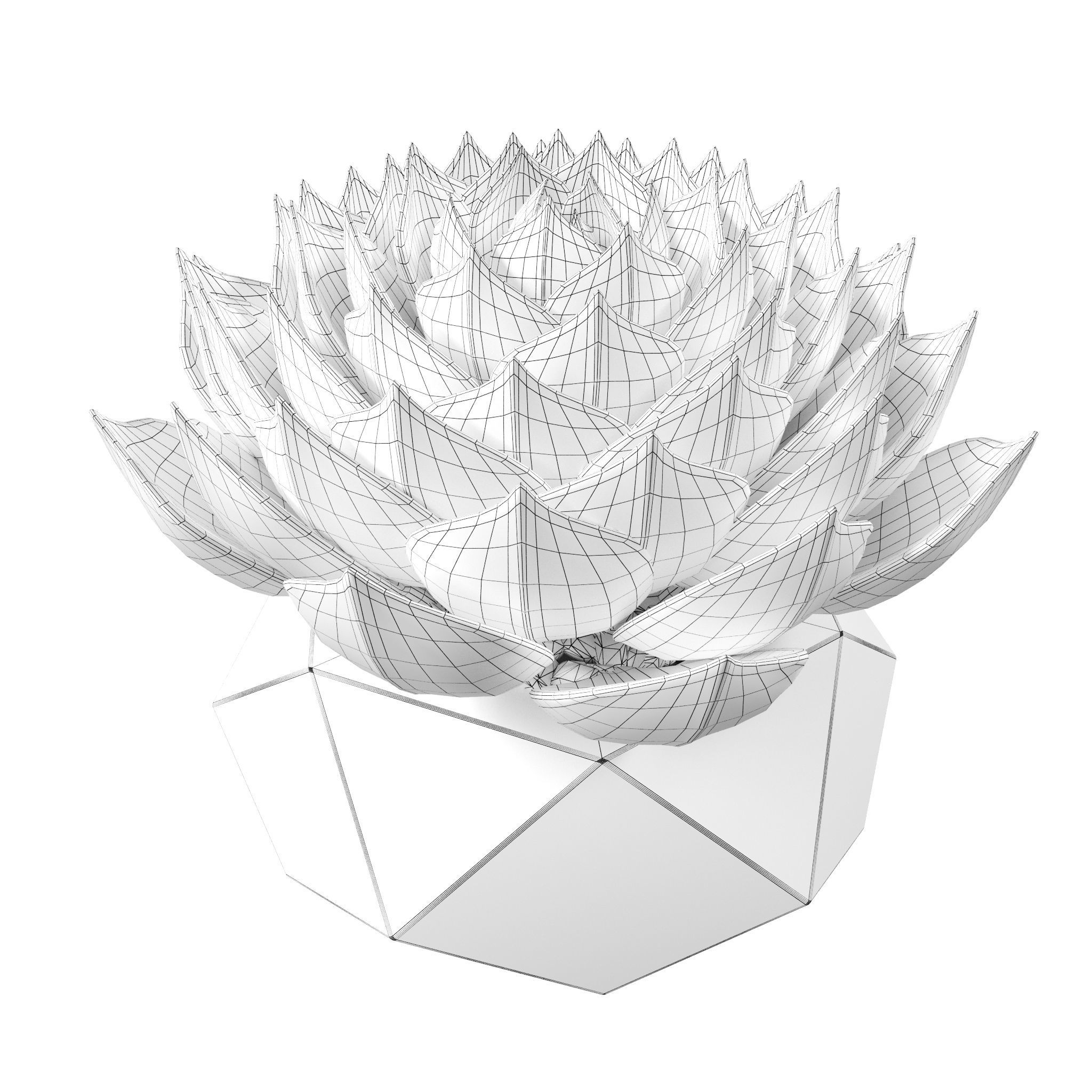 Succulent plant 2 3D model | CGTrader