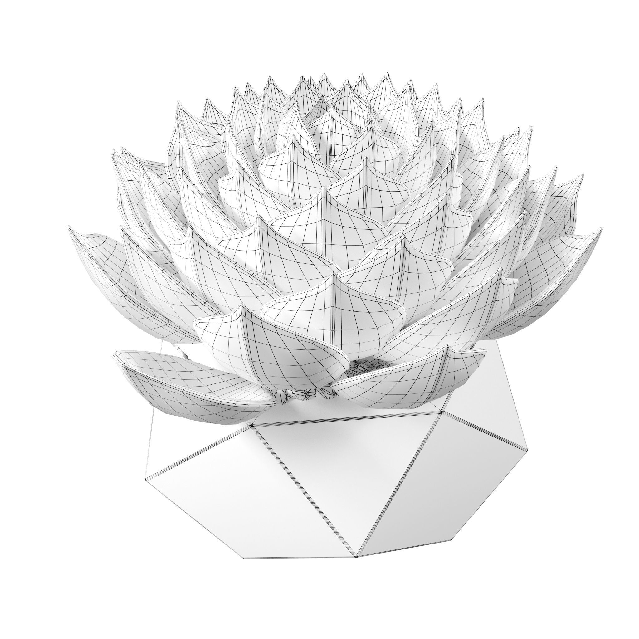 Succulent plant 2 3D model | CGTrader