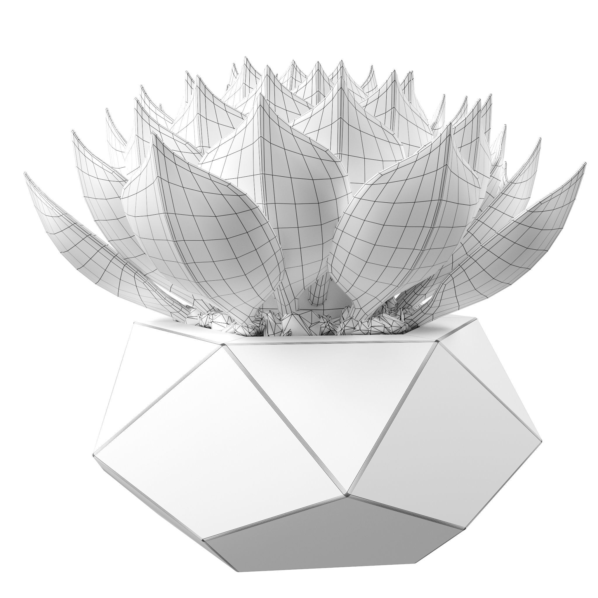 Succulent plant 2 3D model | CGTrader