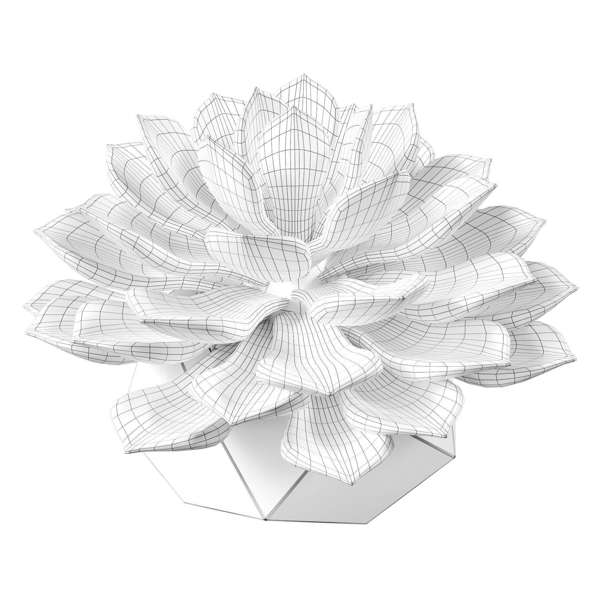 Succulent plant 3 3D model | CGTrader