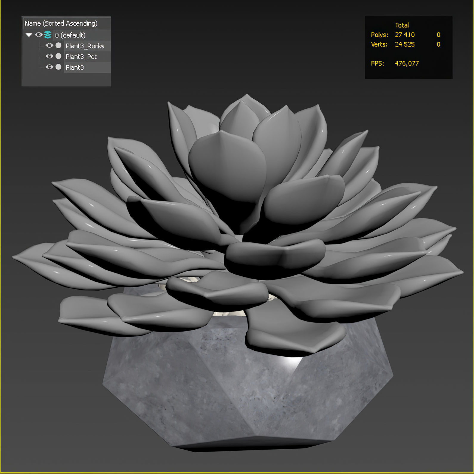 Succulent plant 3 3D model | CGTrader