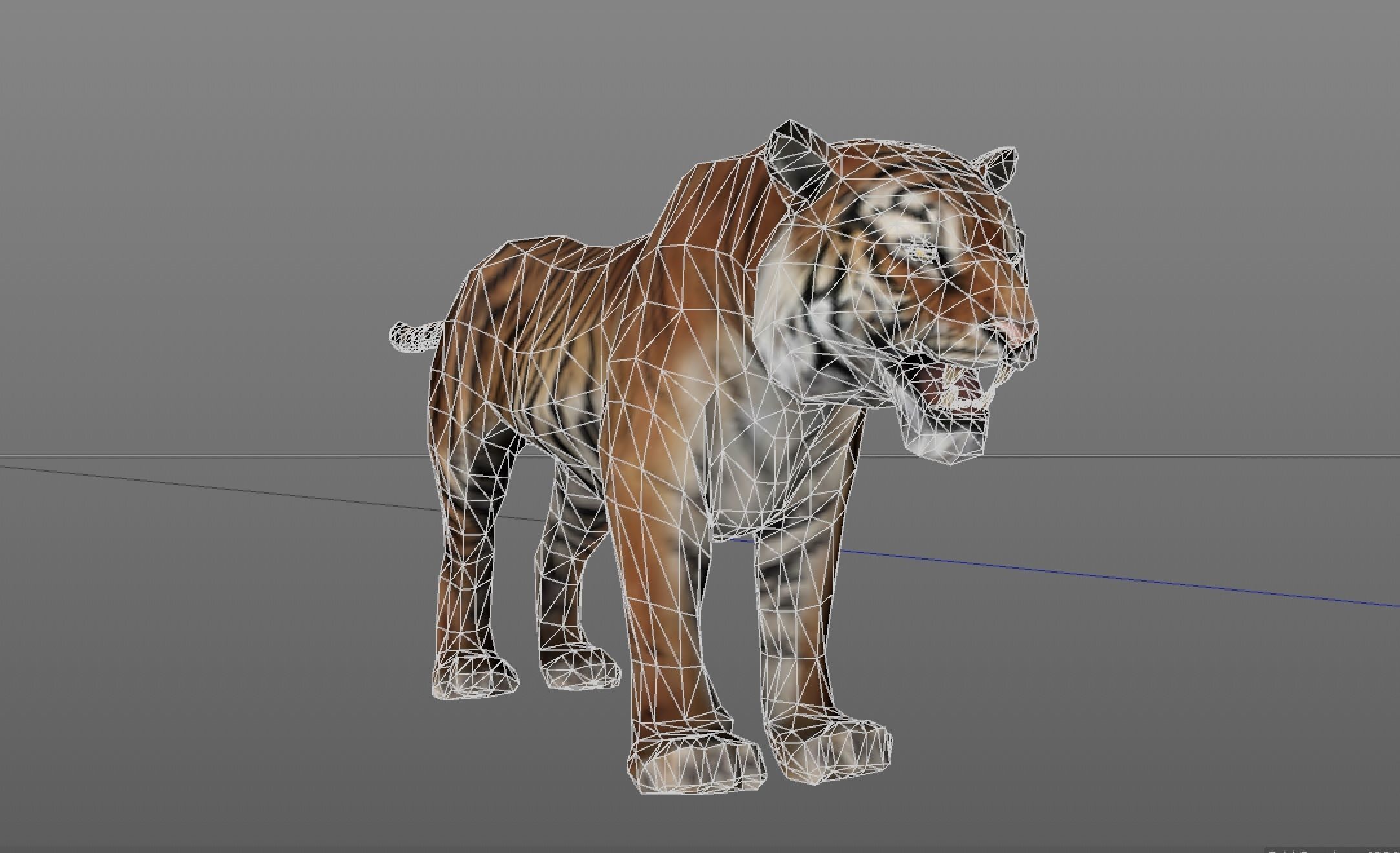 Tiger 3D model | CGTrader