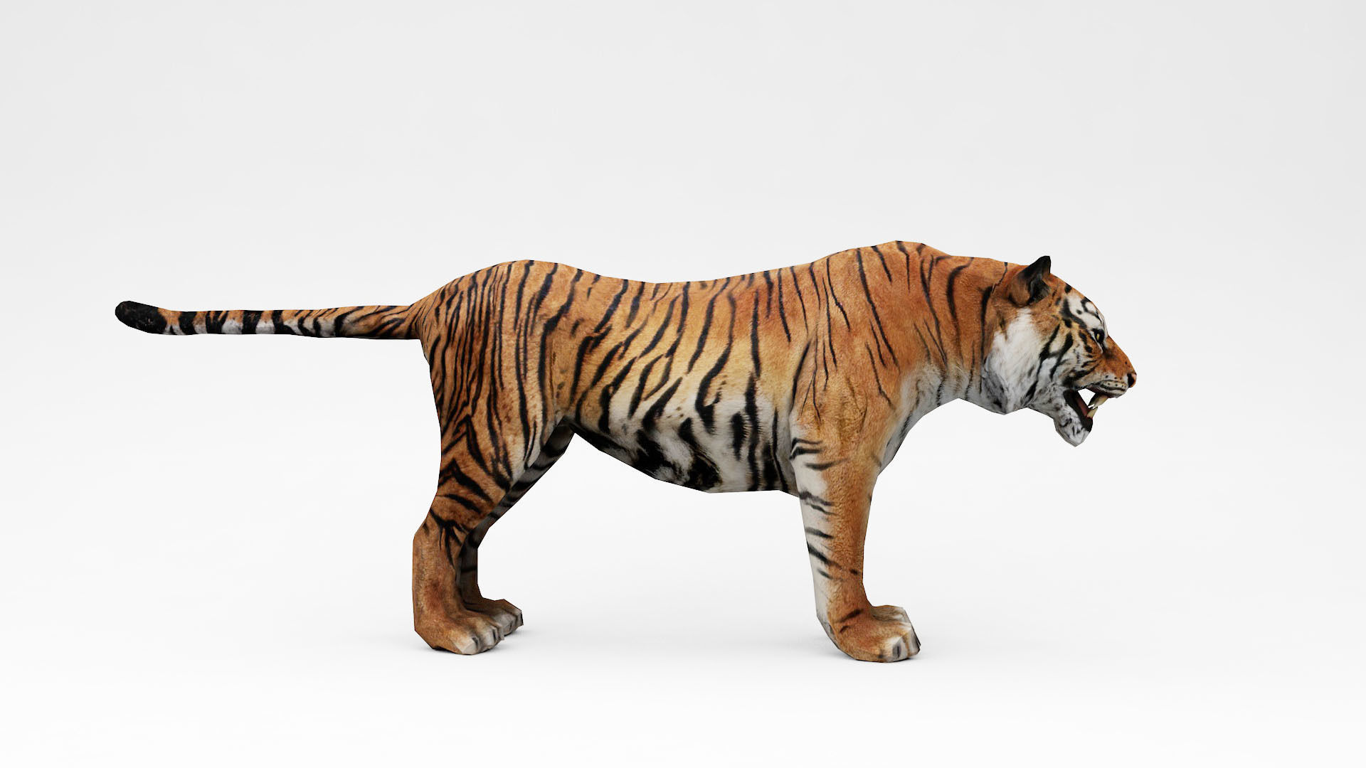 Tiger 3D model | CGTrader
