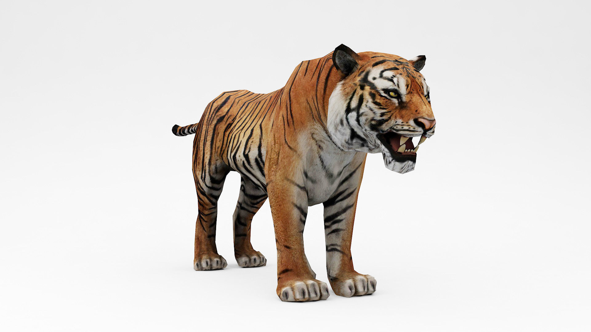 Tiger 3D model | CGTrader