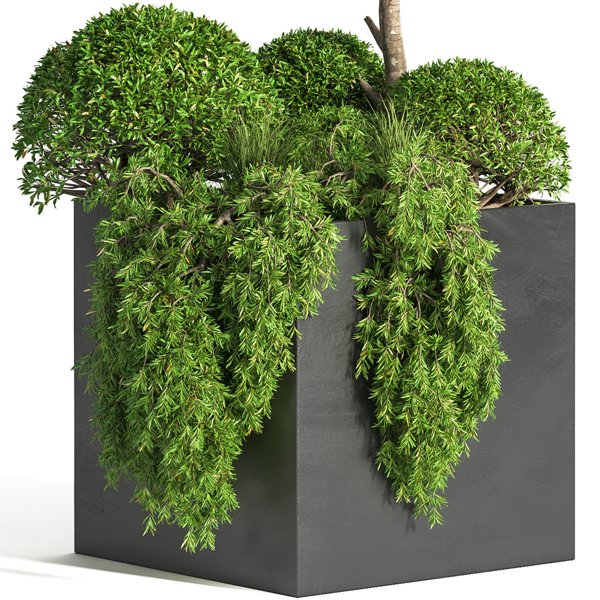 Outdoor Plants tree 16 3D model | CGTrader