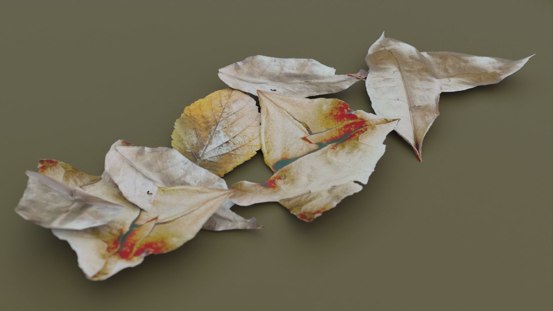 3D model Low Poly Dried Leaves 3D Model VR / AR / low-poly | CGTrader