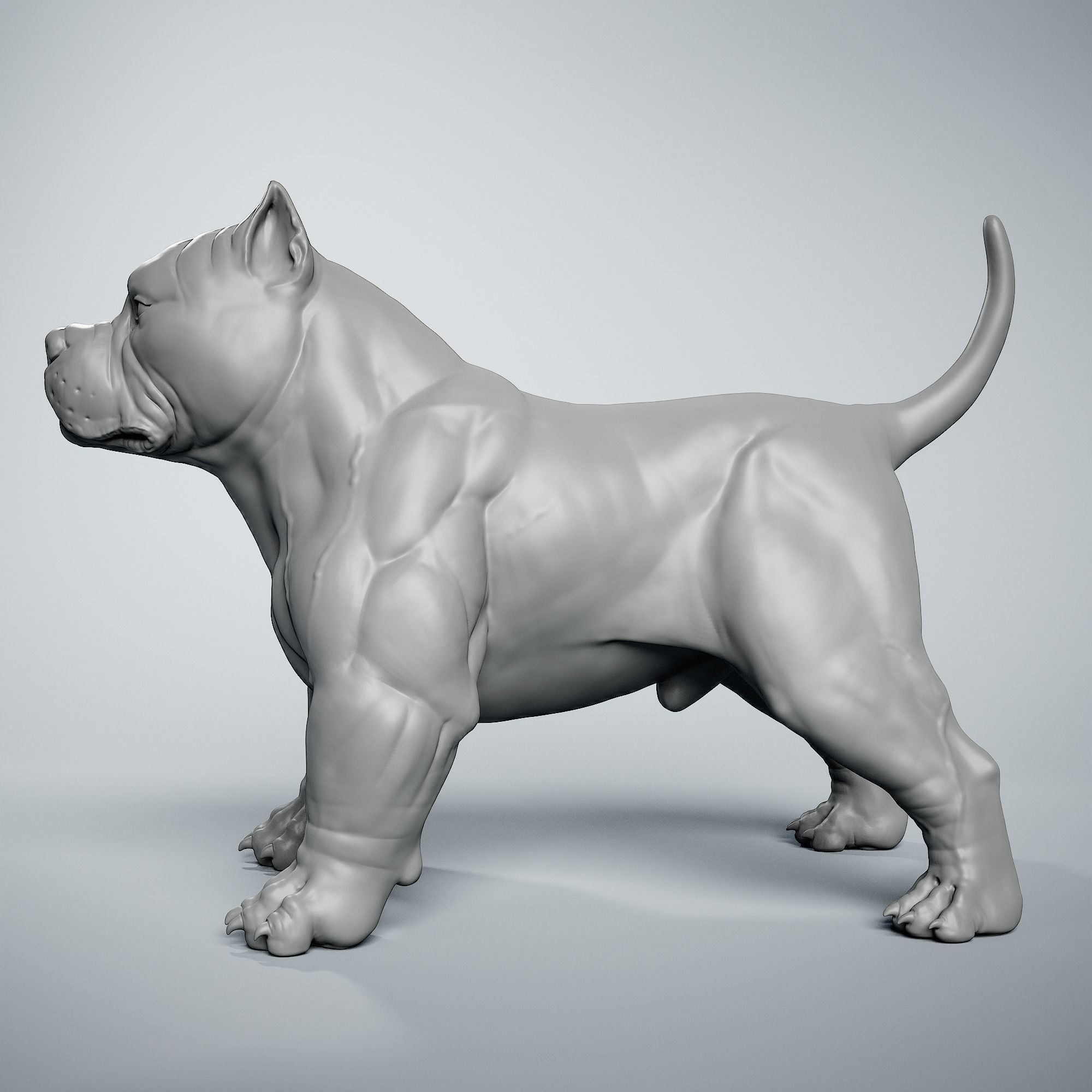 American Bully Dog 3D model 3D printable | CGTrader