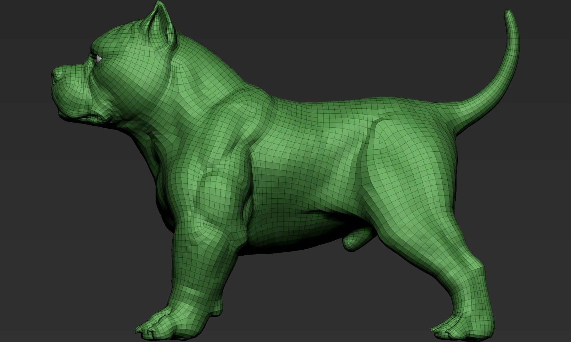American Bully Dog 3D model 3D printable | CGTrader