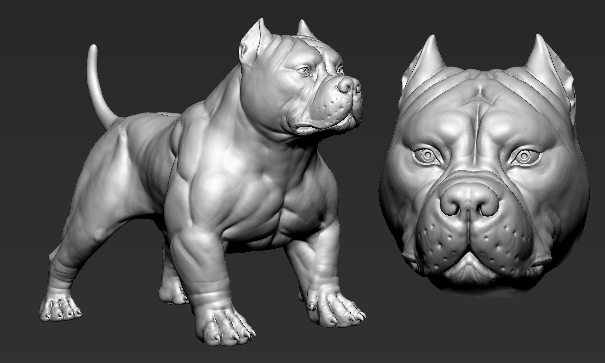American Bully Dog 3D model 3D printable | CGTrader
