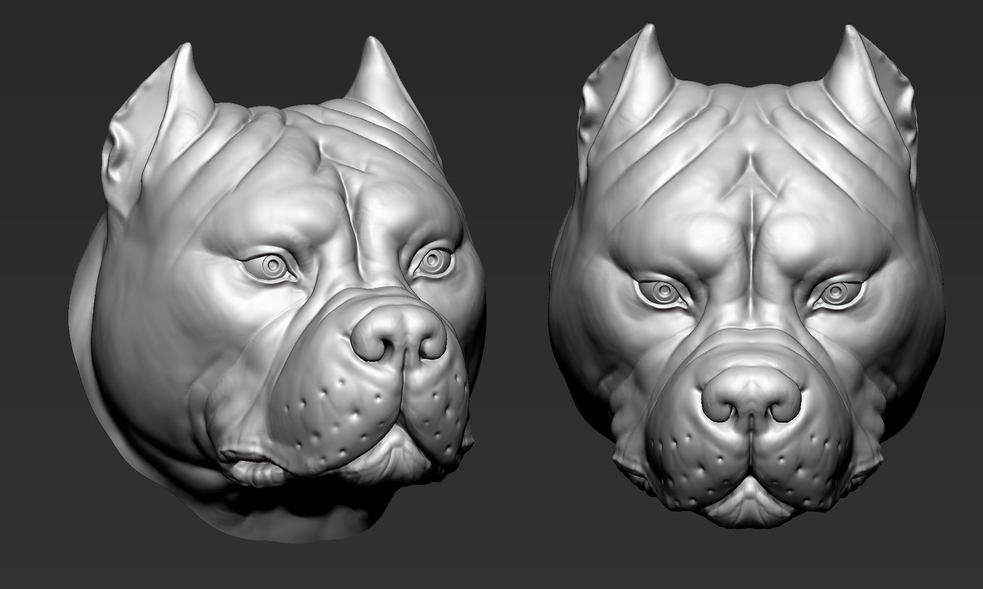 American Bully Dog 3D model 3D printable | CGTrader
