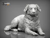 Australian shepherd 3D model 3D printable | CGTrader