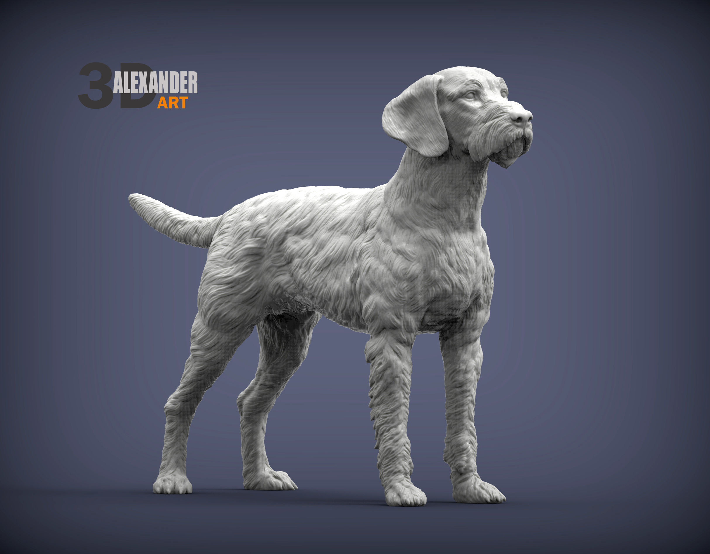 German wirehaired pointers 3D model 3D printable | CGTrader