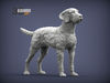 German wirehaired pointers 3D model 3D printable | CGTrader