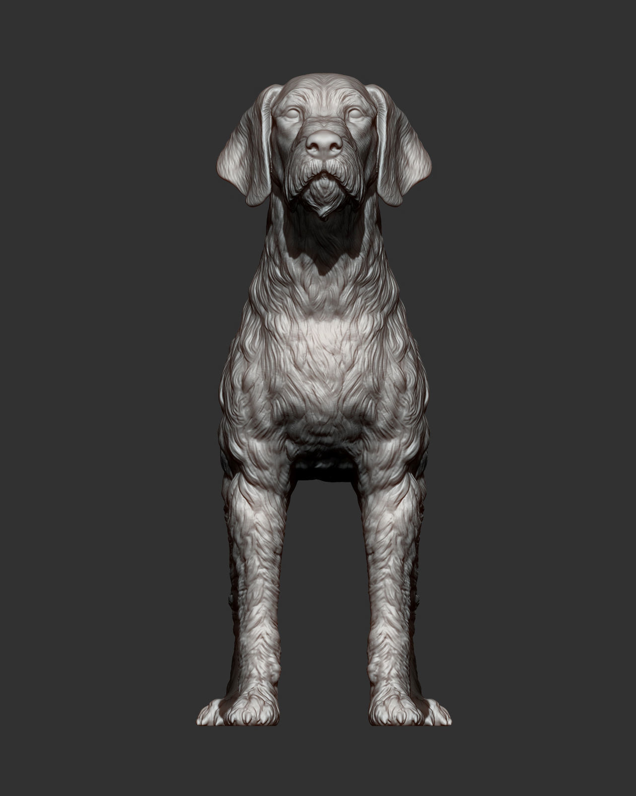 German wirehaired pointers 3D model 3D printable | CGTrader