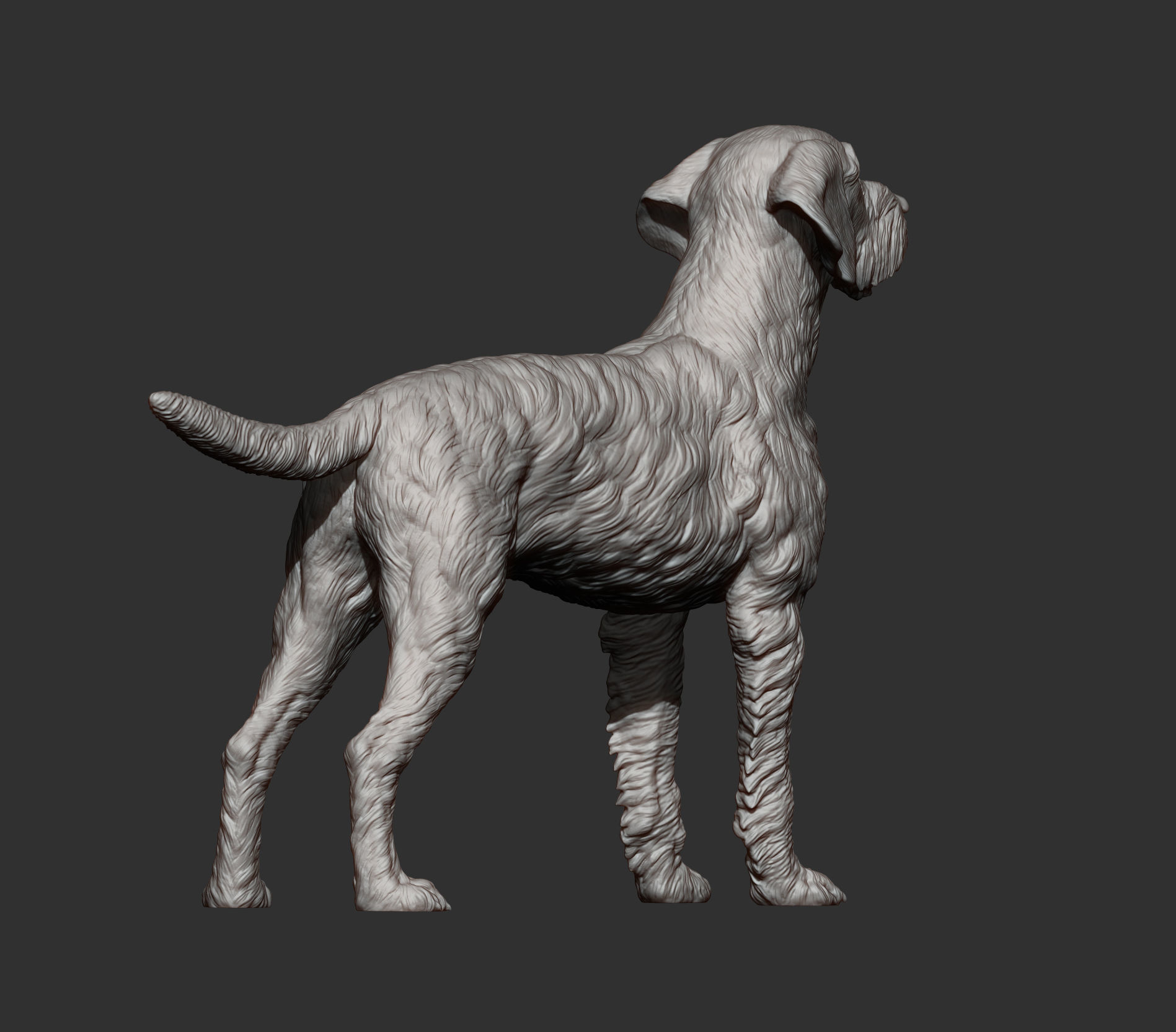 German wirehaired pointers 3D model 3D printable | CGTrader