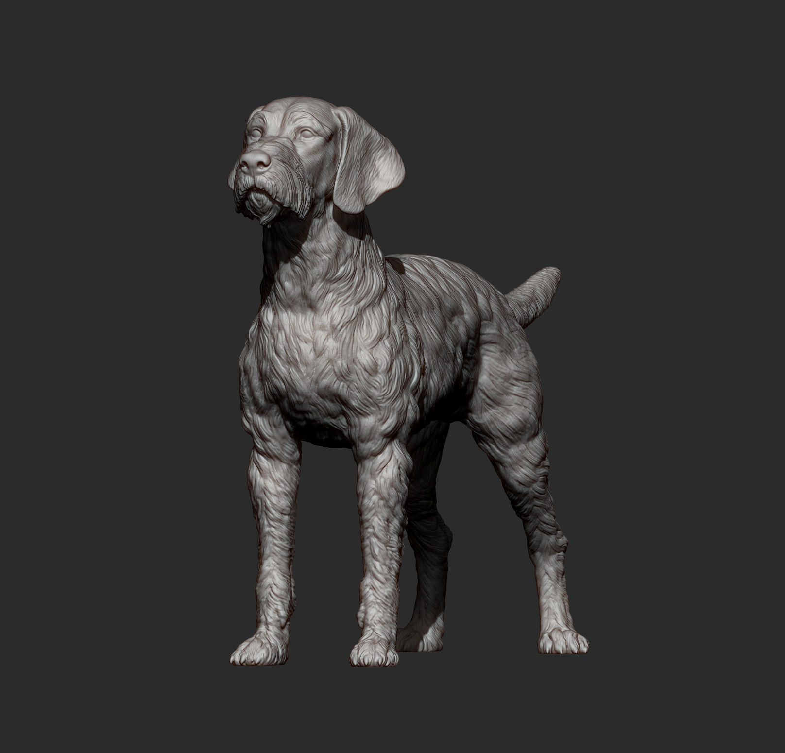 German wirehaired pointers 3D model 3D printable | CGTrader