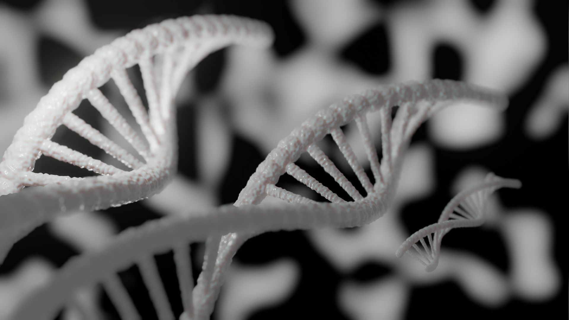 DNA or Deoxyribonucleic Acid in Rotation 3D model | CGTrader