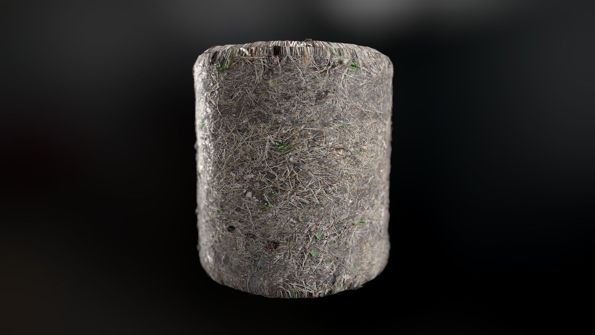 Scanner Textur Material Set Texture | CGTrader