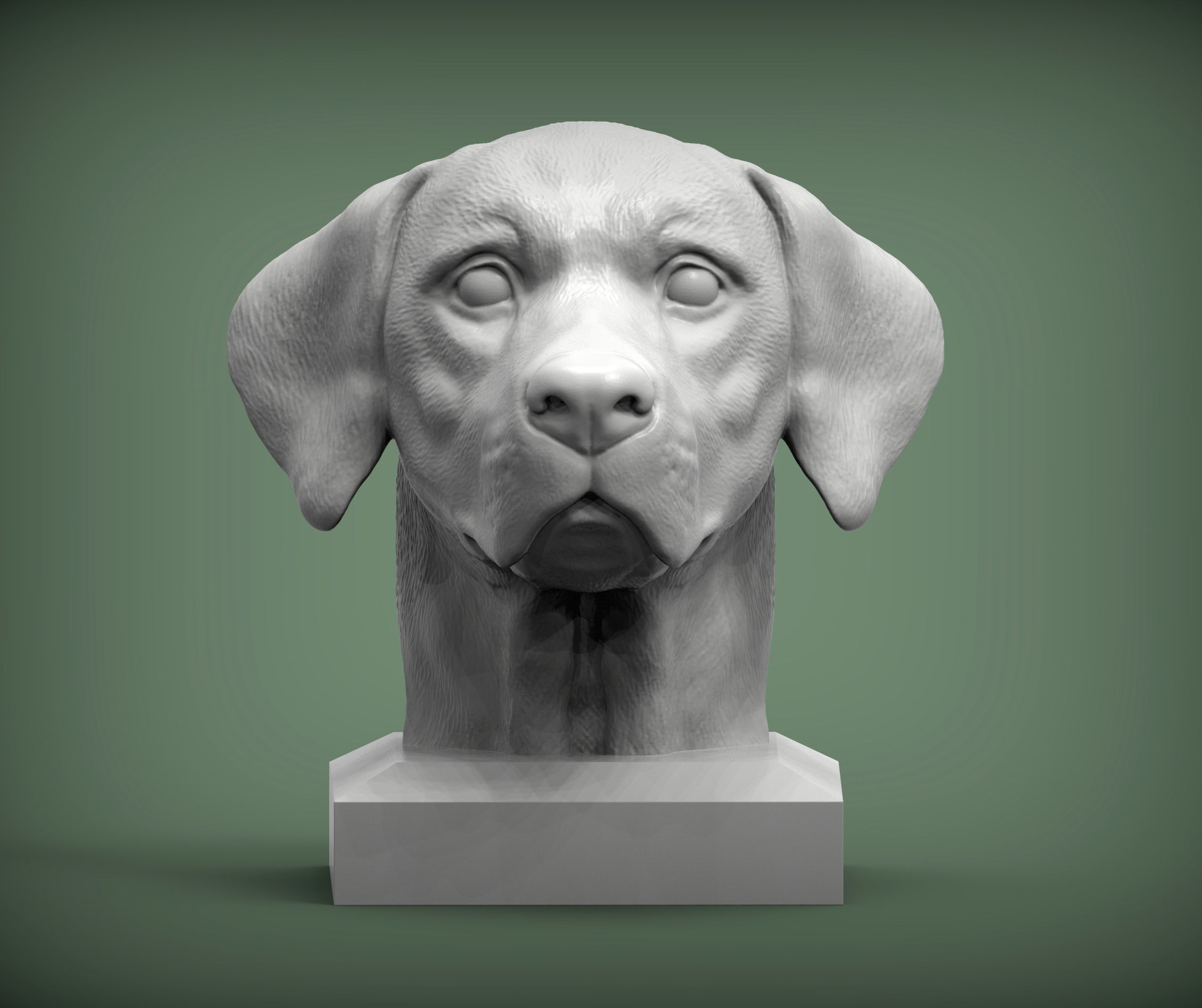Labrador bust of dog 3D model 3D printable | CGTrader