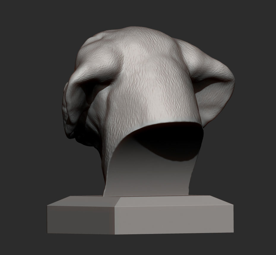 Labrador bust of dog 3D model 3D printable | CGTrader
