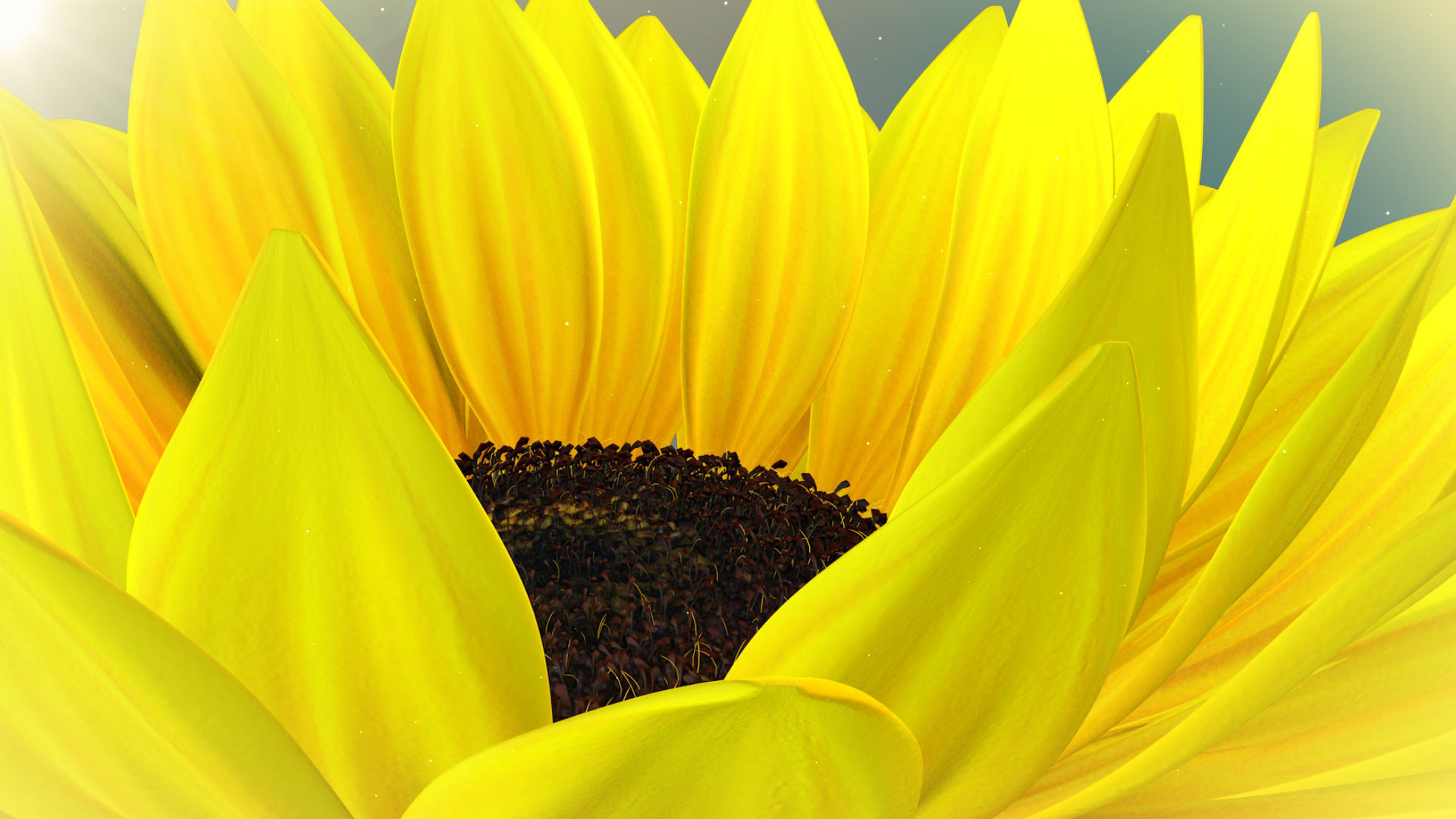 3d Sunflower Animated 3D model animated rigged | CGTrader