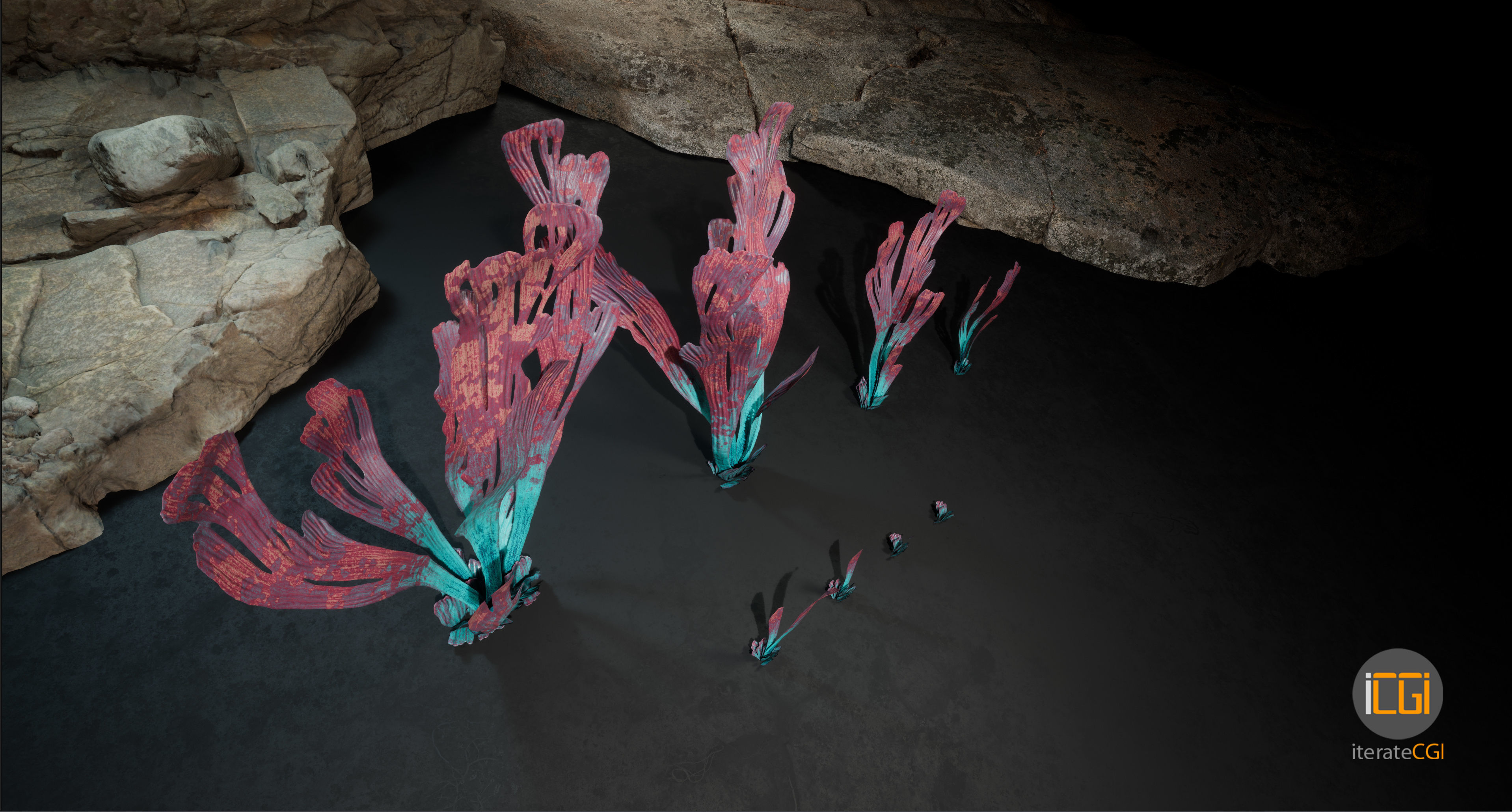 3D model Alien Fungus Type 4 VR / AR / low-poly | CGTrader