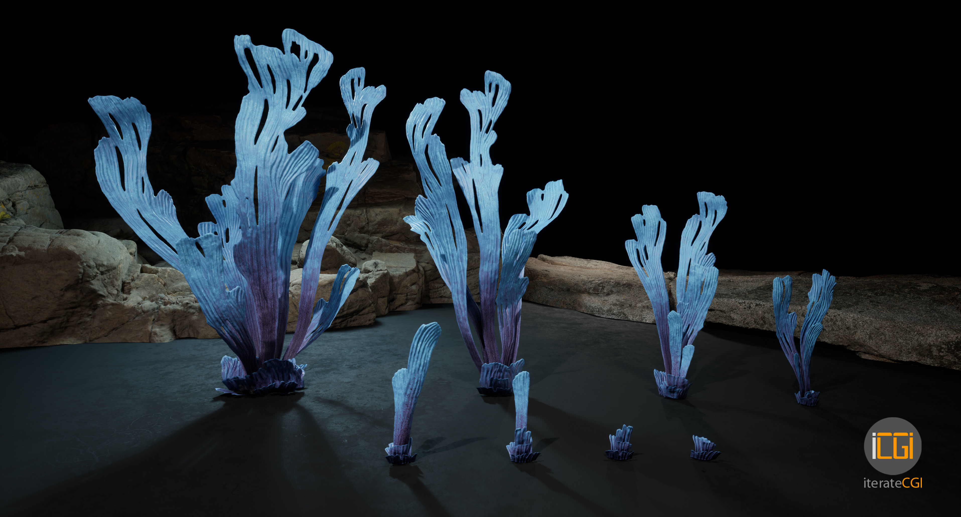 3D model Alien Fungus Type 4 VR / AR / low-poly | CGTrader