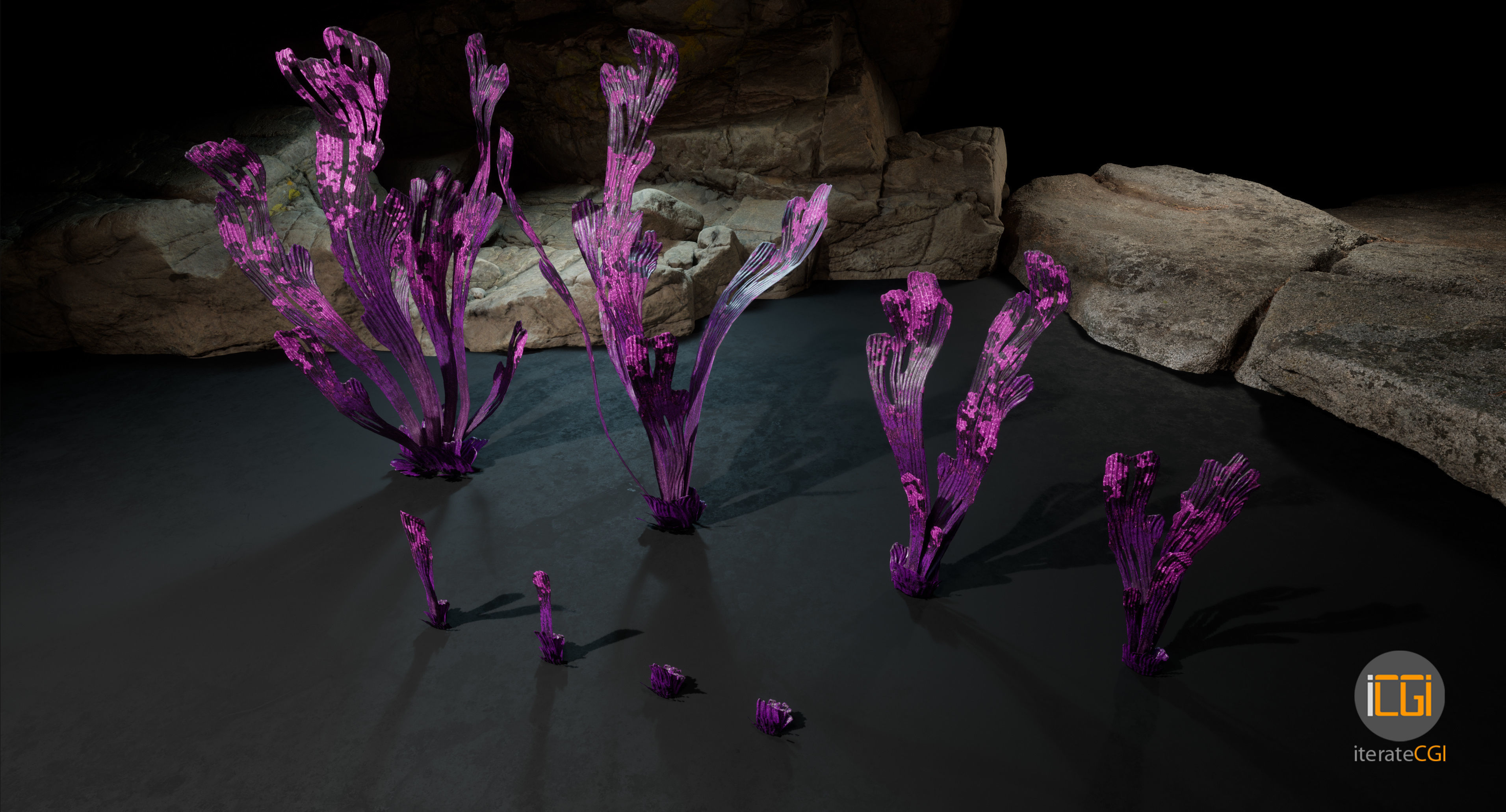 3D model Alien Fungus Type 4 VR / AR / low-poly | CGTrader