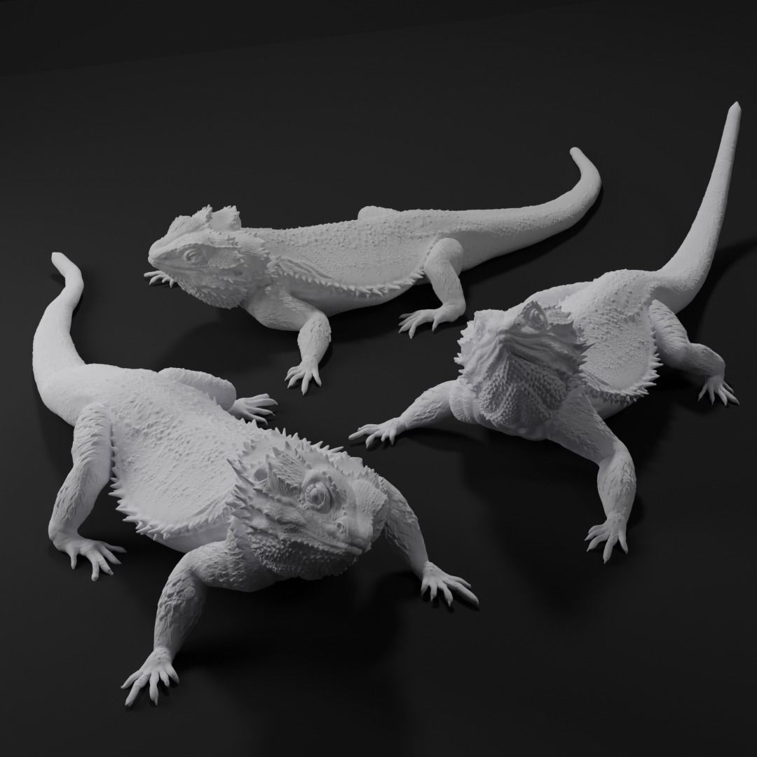 Bearded Dragon Realistic Lizard 3d print model 3D model 3D printable | CGTrader