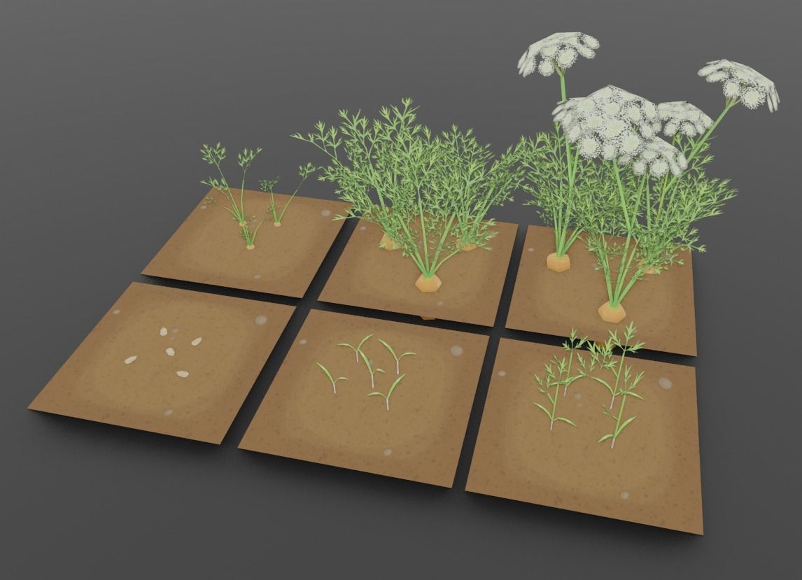 Carrot -Growing and cooking- free VR / AR / low-poly 3D model | CGTrader
