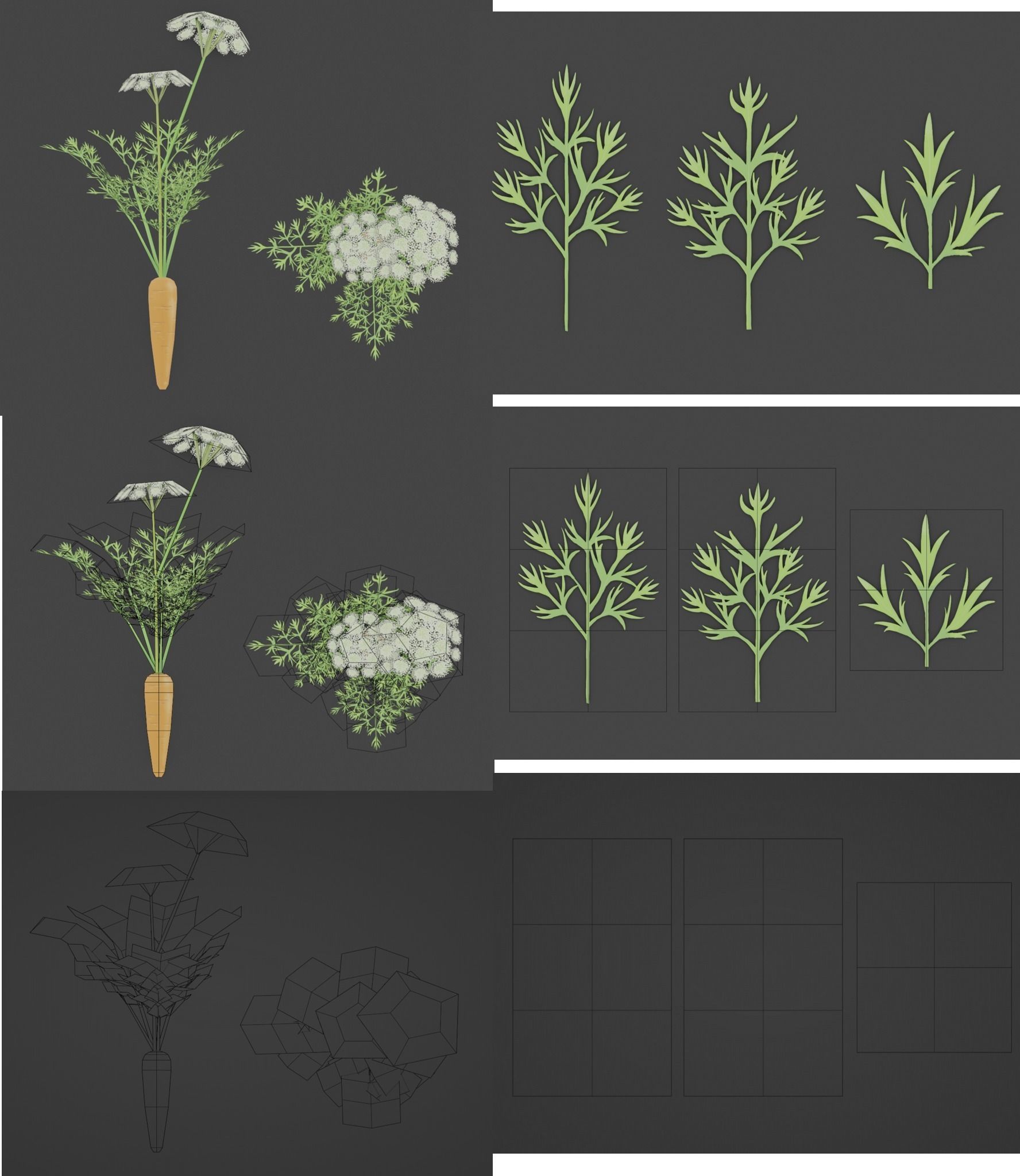 Carrot -Growing and cooking- free VR / AR / low-poly 3D model | CGTrader