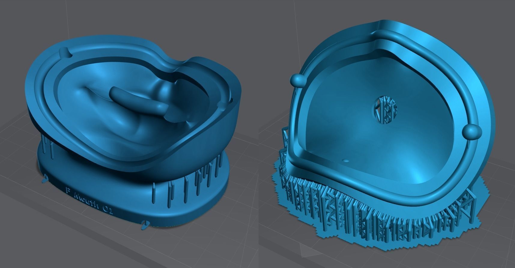 SILICONE MOUTH MOLD 3D model 3D printable | CGTrader