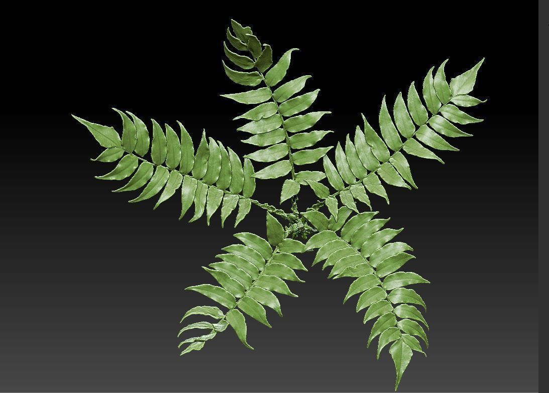 Aquatic plants 3D model 3D printable | CGTrader