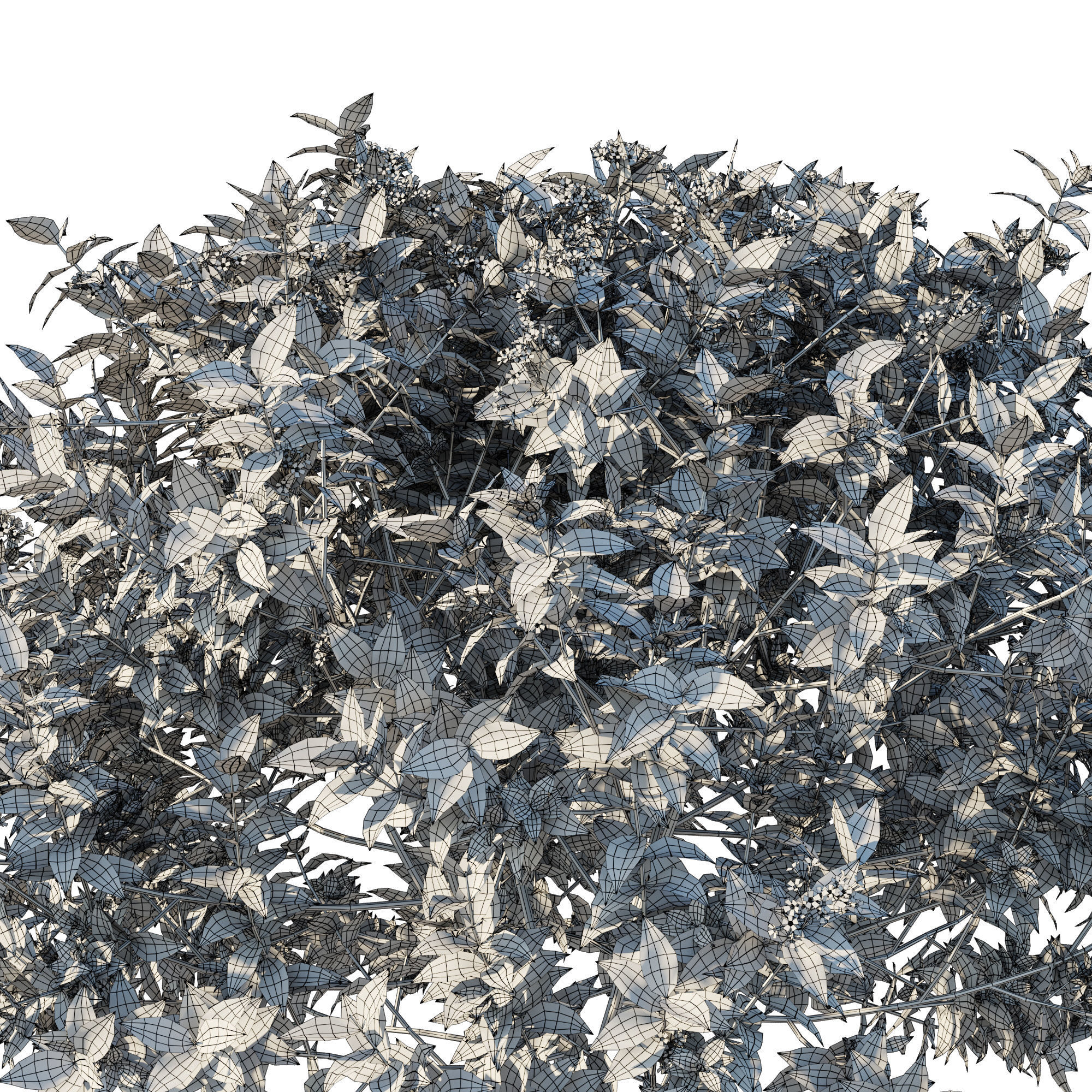 Bushes 03 3D model | CGTrader