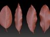 leaves Leaf sculpture ZBrush Leaf Brush 3D print model 3D model 3D ...