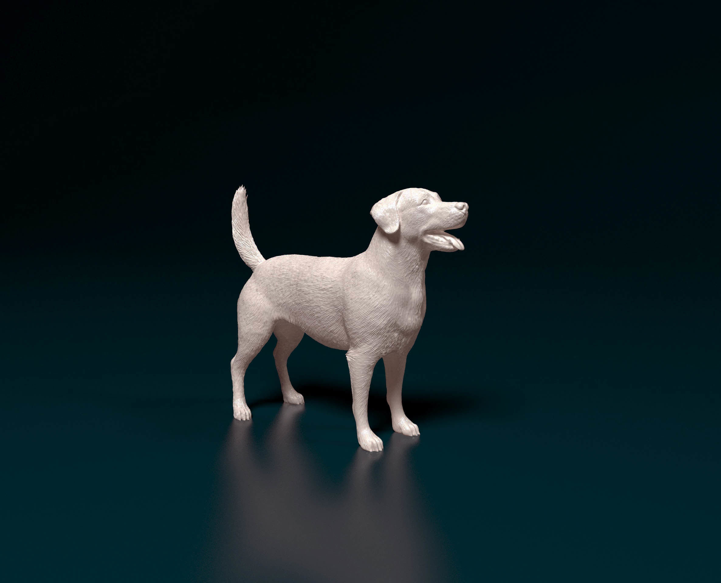 Labrador 4 retriever 3D model 3D printable | CGTrader
