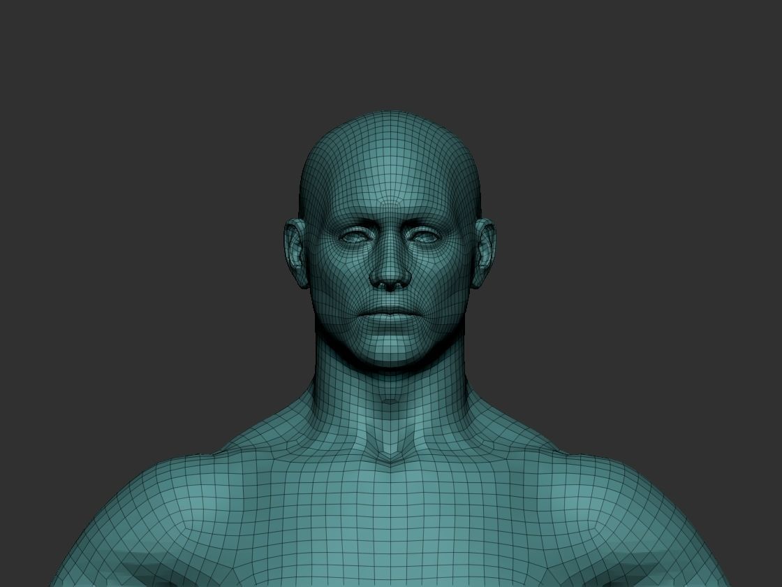 3D model Anatomy base 3D model VR / AR / low-poly | CGTrader